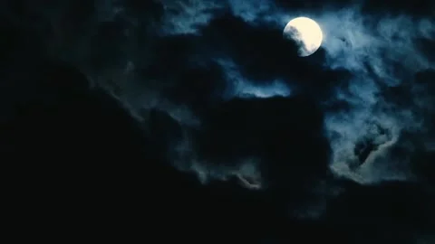 Black_Luna Video Stock Videos – Royalty-Free HD & 4K Videos