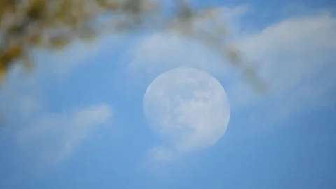 Star Full Season Stock Videos – Royalty-Free HD & 4K Videos