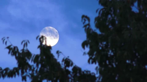 Full Moon Disappearing Behind Clouds Nat... | Stock Video | Pond5