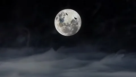 Full Moon With Misty & Foggy Night 4K an... | Stock Video | Pond5