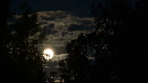 Full Moon Moves in the Night Sky through... | Stock Video | Pond5