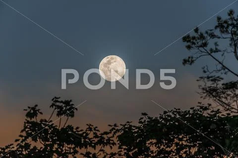 Full moon in the peruvian amazon jungle at madre de dios peru ~ Hi Res ...