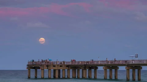 Full moon rise over pier in Miami | Stock Video | Pond5