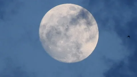 Full moon shot on super blue moon of sep... | Stock Video | Pond5