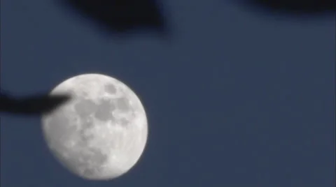 Romantic Blue Movies Stock Videos – Royalty-Free HD & 4K Videos