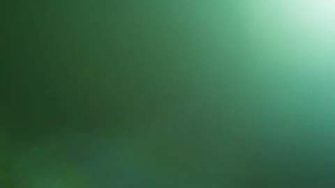 Torch Green Screen Stock Footage ~ Royalty Free Stock Videos | Pond5