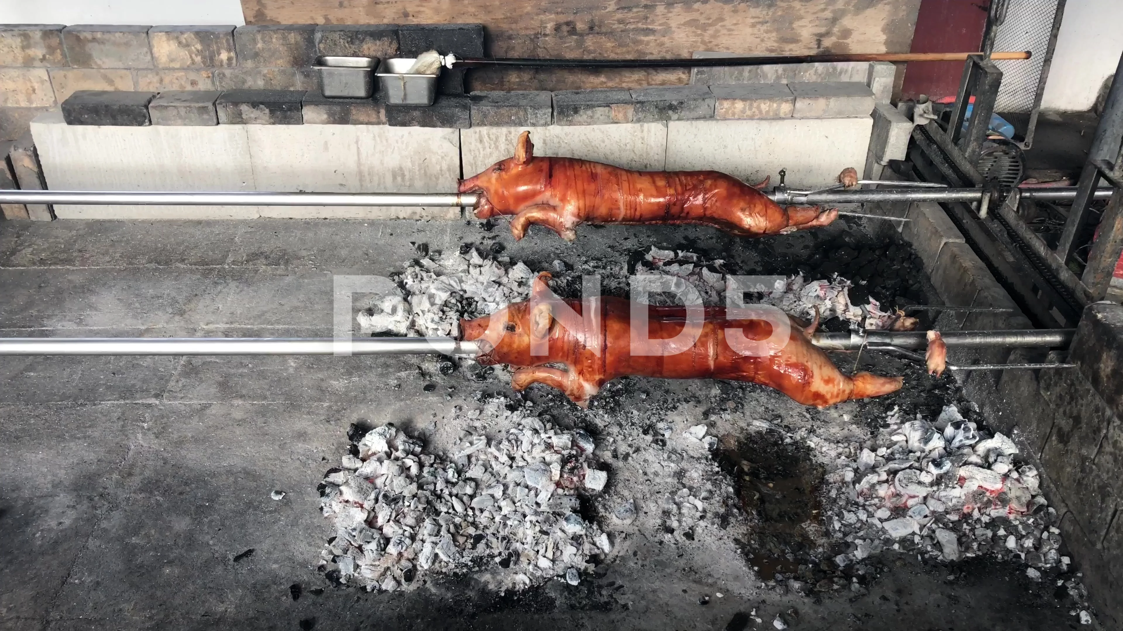 Lechon Baboy Drawing