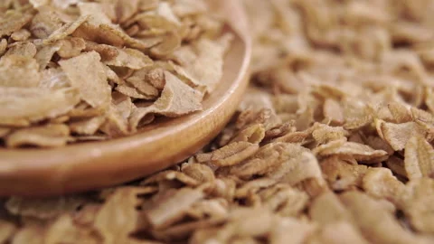 Full Brity Stock Videos – Royalty-Free HD & 4K Videos