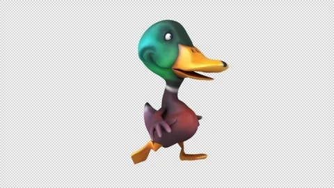 Running Duck Stock Videos – Royalty-Free HD & 4K Videos | Page 3