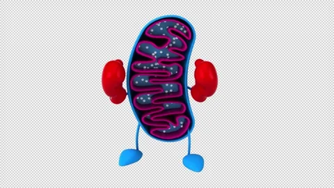 Fun 3D cartoon mitochondria (with alpha ... | Stock Video | Pond5