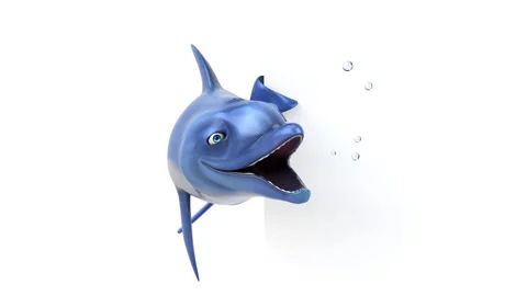 Fun dolphin - 3D Animation | Stock Video | Pond5