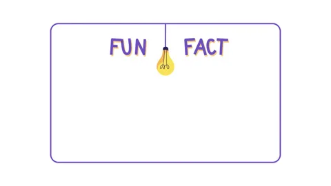 Fun fact text concept animation. Light b... | Stock Video | Pond5
