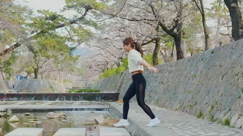 Japanese Bridge Background Stock Videos – Royalty-Free HD & 4K Videos