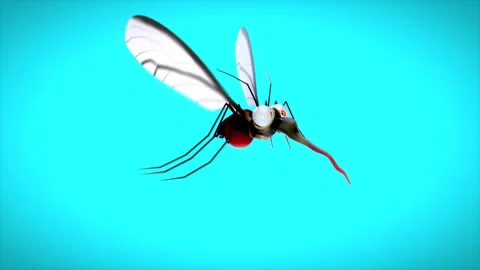 Mosquito 3D Stock Videos – Royalty-Free HD & 4K Videos | Pond5