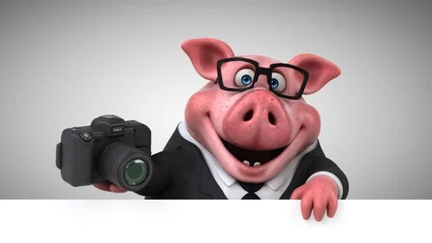 Fun pig - 3D Animation | Stock Video | Pond5