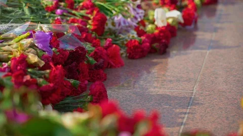 Flower Background Funeral Stock Videos – Royalty-Free HD & 4K Videos