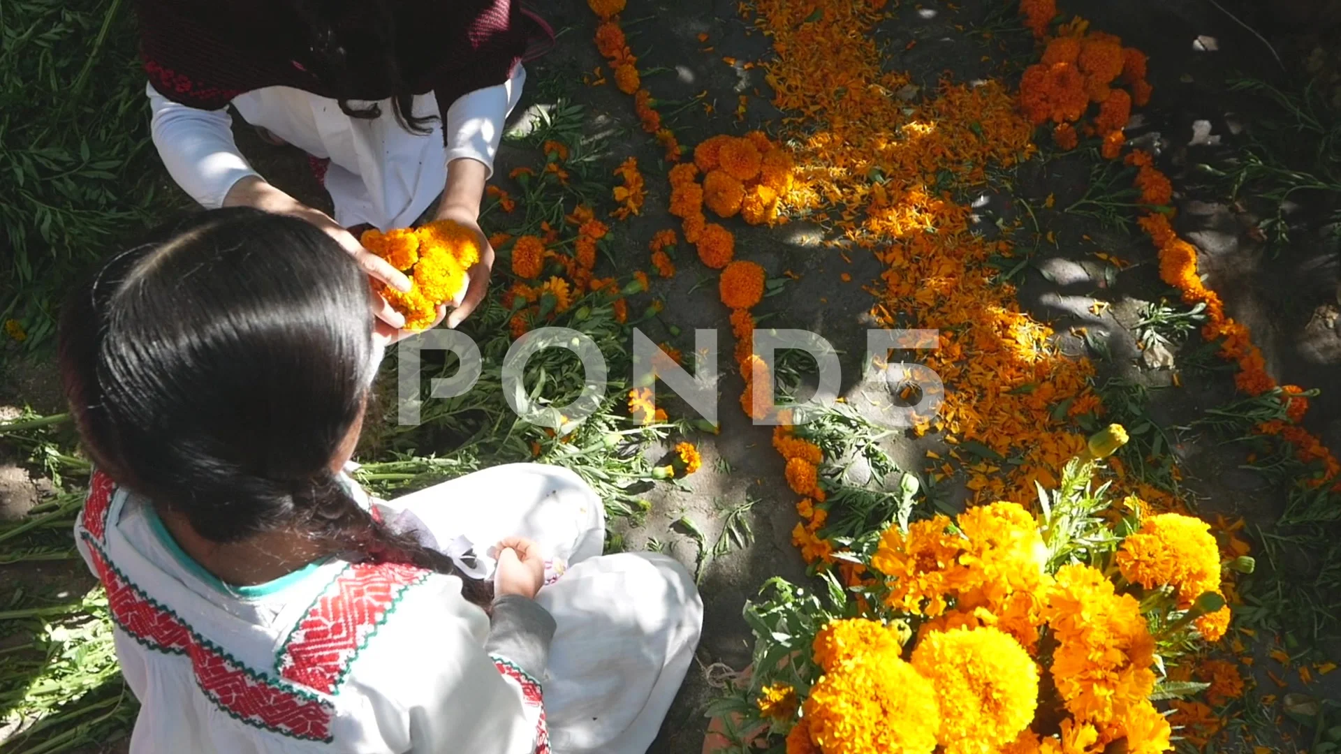 Rite Flowers | Best Flower Site