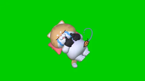 Crying Cat Stock Videos – Royalty-Free HD & 4K Videos | Page 5