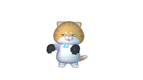 White Cat Dancing Stock Videos – Royalty-Free HD & 4K Videos