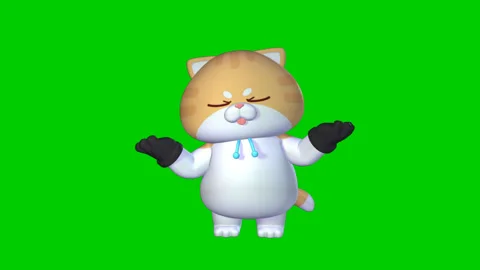 Funny Cat Poses Stock Videos – Royalty-Free HD & 4K Videos