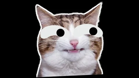 funny cat moves eyes on black background | Stock Video | Pond5