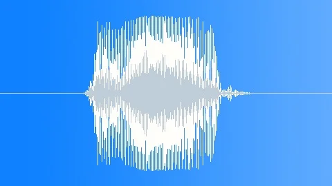 Clown Honk Sound Effects ~ Royalty Free Clown Honk Sounds | Pond5