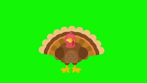 Funny Turkey Videos Stock Videos – Royalty-Free HD & 4K Videos