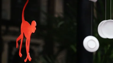 Fire Monkeys Stock Videos – Royalty-Free HD & 4K Videos | Pond5