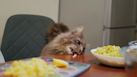 Stealing Home Stock Videos – Royalty-Free HD & 4K Videos | Pond5