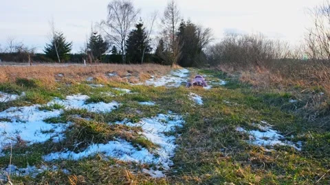 Funny Coolkid Stock Videos – Royalty-Free HD & 4K Videos | Pond5