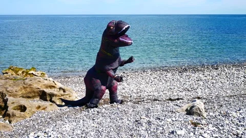 Funny inflatable dinosaur dancing on peb... | Stock Video | Pond5