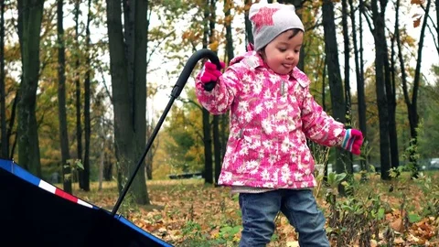 Funny Flagger Videos Stock Footage ~ Royalty Free Stock Videos | Pond5