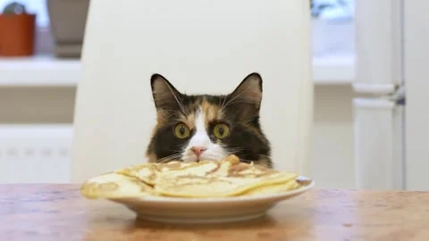 Picture Hide Stock Videos – Royalty-Free HD & 4K Videos