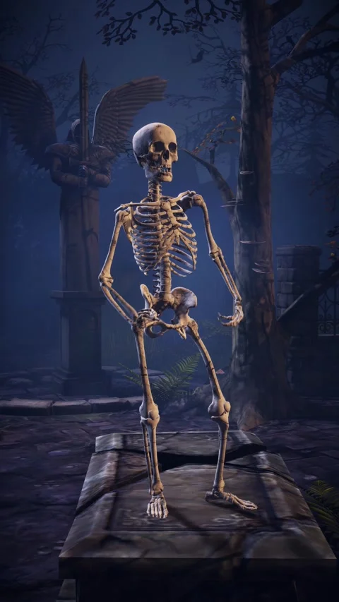 Funny skeletons at night in a cemetery | Stock Video | Pond5