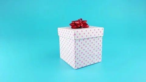 Surprise Cat Stock Videos – Royalty-Free HD & 4K Videos