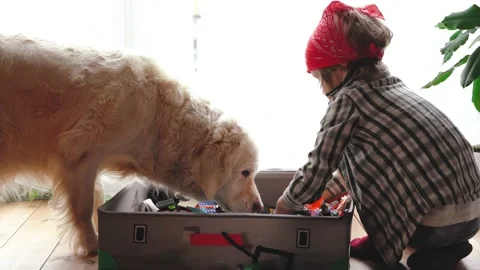 Video Love Toy Stock Videos – Royalty-Free HD & 4K Videos | Pond5