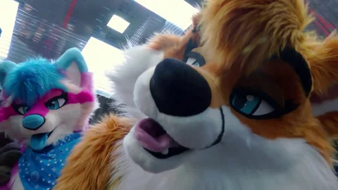 Furry fans unite! A peek inside the worl... | Stock Video | Pond5