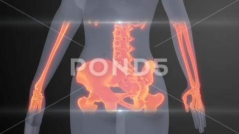 Future X-Ray Human Skeletal Examination Illustration #286944380