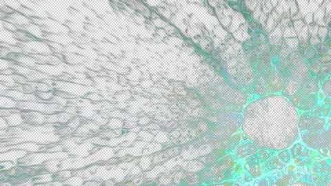 Base Portal Stock Footage ~ Royalty Free Stock Videos | Pond5