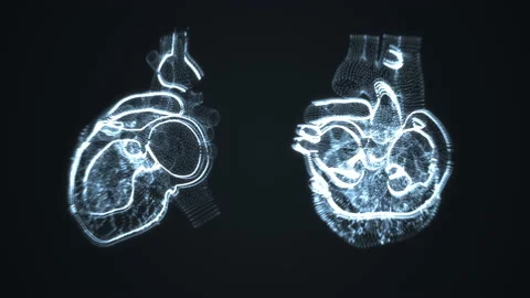 Futuristic heart scanning animation. Hi-... | Stock Video | Pond5