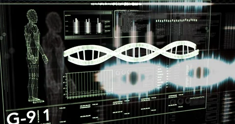 Body More Stock Videos – Royalty-Free HD & 4K Videos