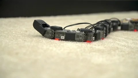 Wild Robot Stock Video Footage | Royalty Free Wild Robot Videos | Pond5