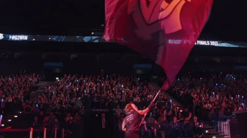 G2 flag waving in League of Legends Fina... | Stock Video | Pond5