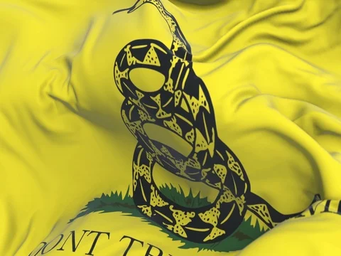 Gadsden Flag Stock Footage ~ Royalty Free Stock Videos | Pond5