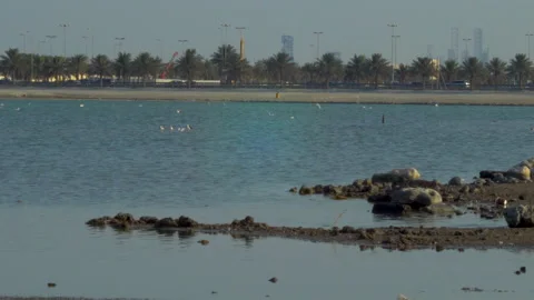 Muharraq Stock Video Footage | Royalty Free Muharraq Videos | Page 8