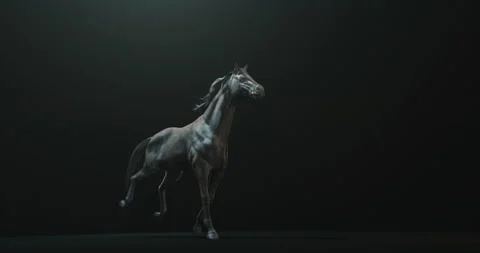 Galloping stallion seamless cyclic loop ... | Stock Video | Pond5