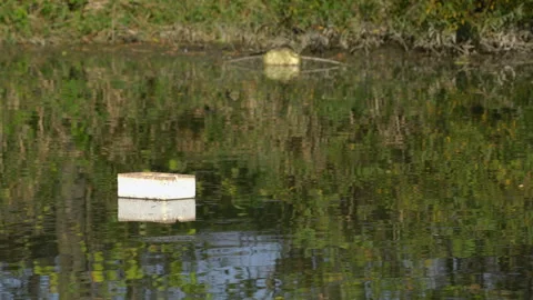 Styrofoam Garbage Stock Video Footage | Royalty Free Styrofoam Garbage ...
