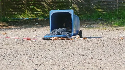 Blew A Lot Stock Videos – Royalty-Free HD & 4K Videos