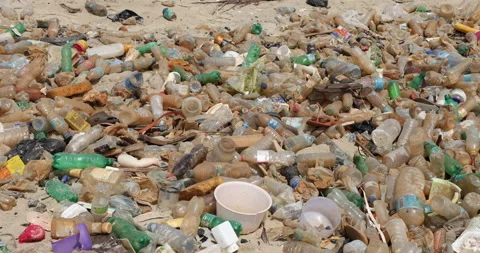 Trash Beach House Stock Videos – Royalty-Free HD & 4K Videos