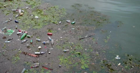 Garbage in water. Improper Waste Managem... | Stock Video | Pond5